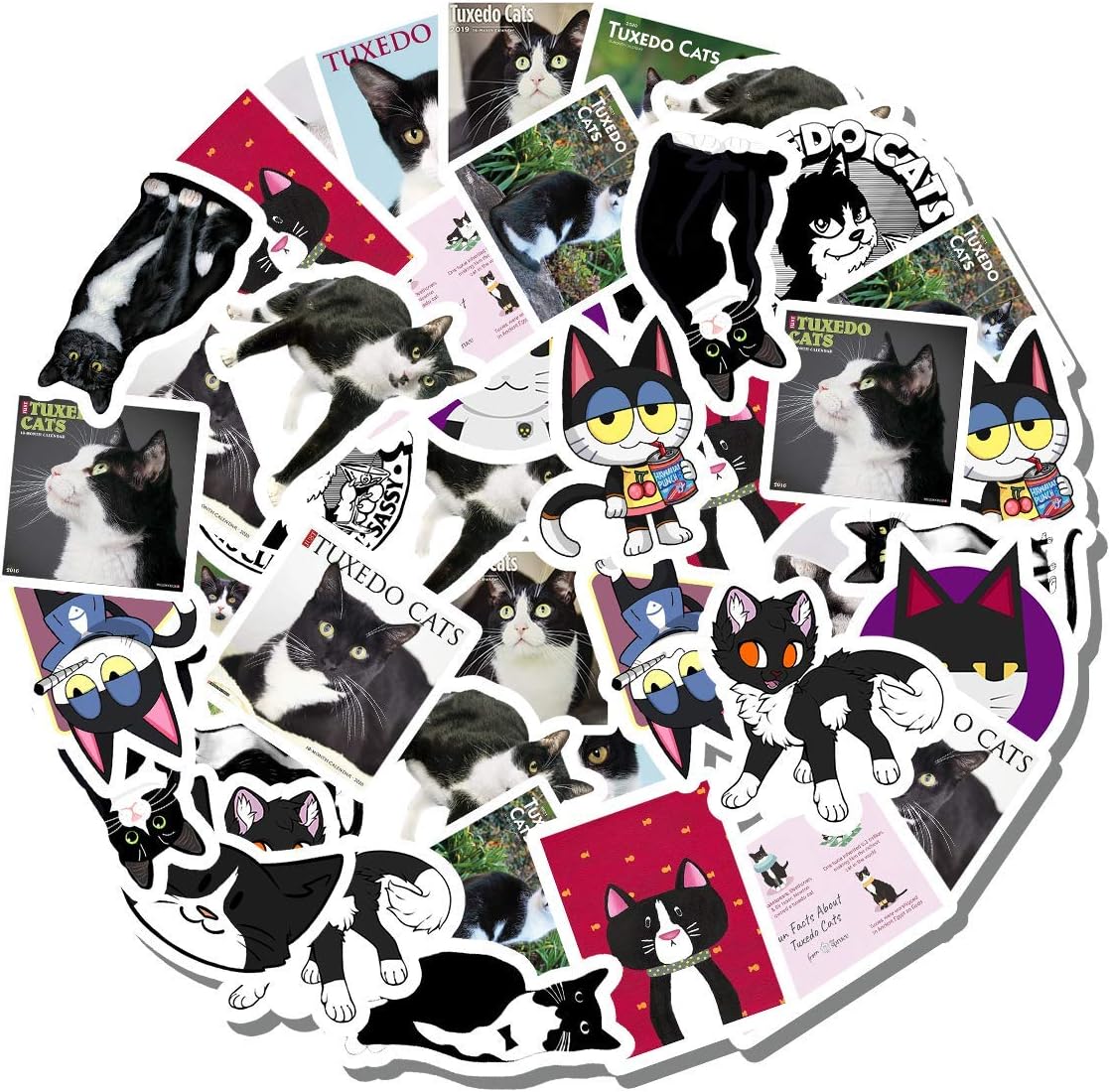 Amazon.com: 20 PCS Stickers Pack Tuxedo Aesthetic Cat Vinyl Colorful ...
