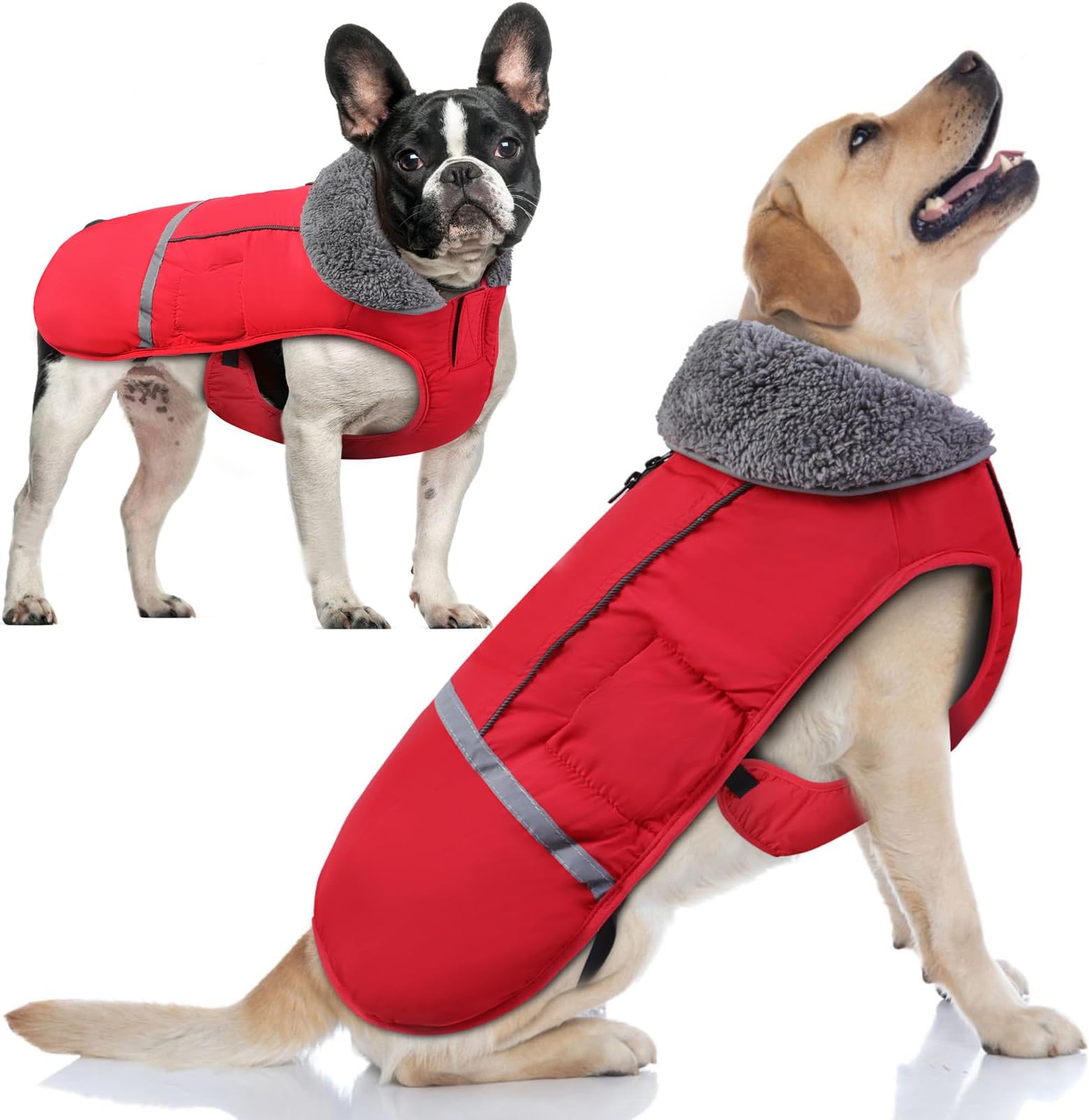 Amazon.com : Winter Dog Coat 100% Waterproof Thicken Dog Jacket for Lab ...