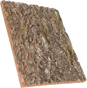 Amazon.com : CORHAD Reptile Cork Background for Terrariums Natural Bark ...