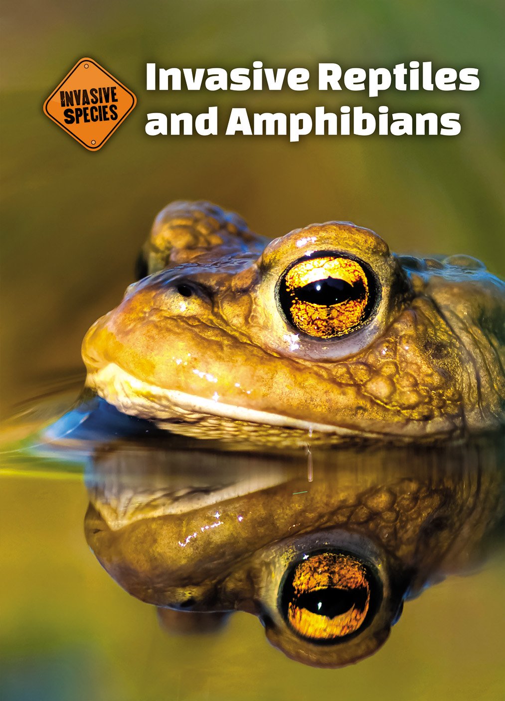 Invasive Reptiles and Amphibians (Invasive Species): Schafer, Susan ...