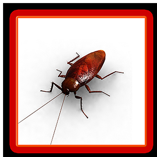 Bug Smash - Squash the Insect! - App on Amazon Appstore