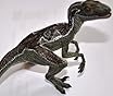 Papo 55023 - Velociraptor, Spielfigur 17 cm lang: Amazon.de: Spielzeug