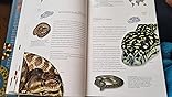 The Book of Snakes: A Life-Size Guide to Six Hundred Species from ...