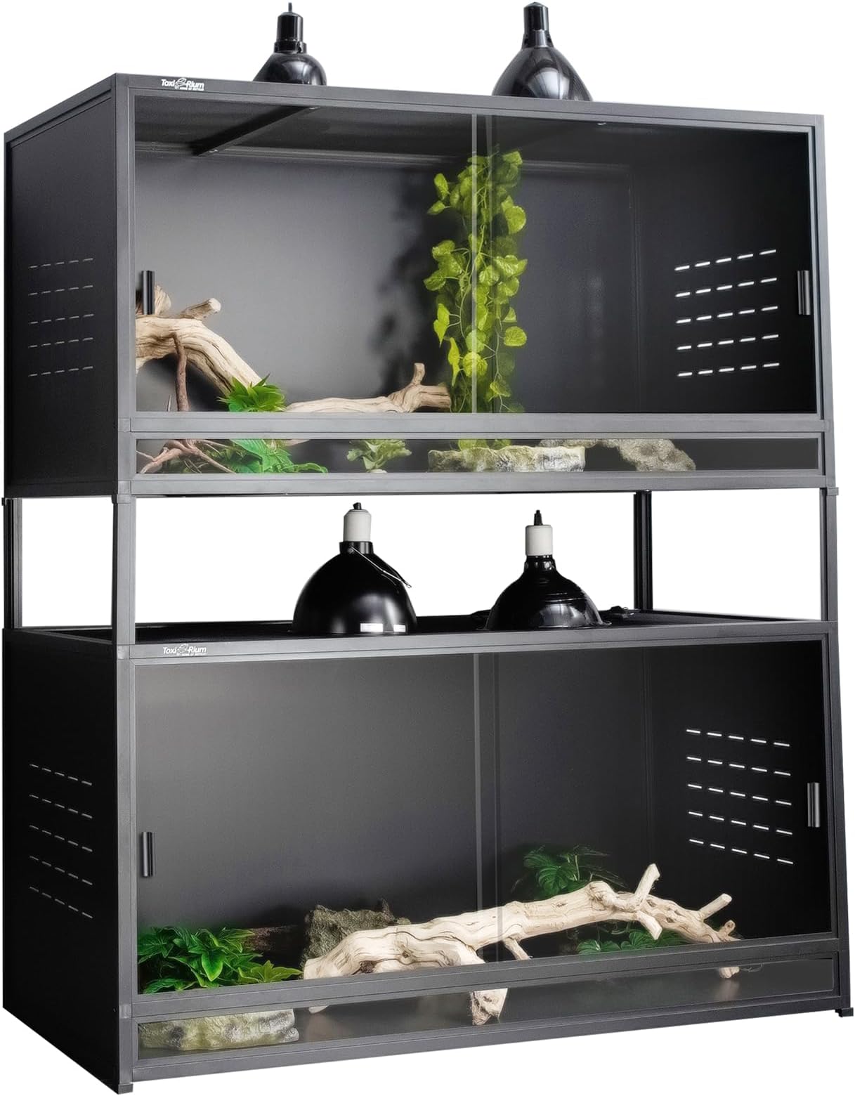 Amazon.com : Reptile Terrarium Tank Openable Metal Mesh Top, Bearded ...