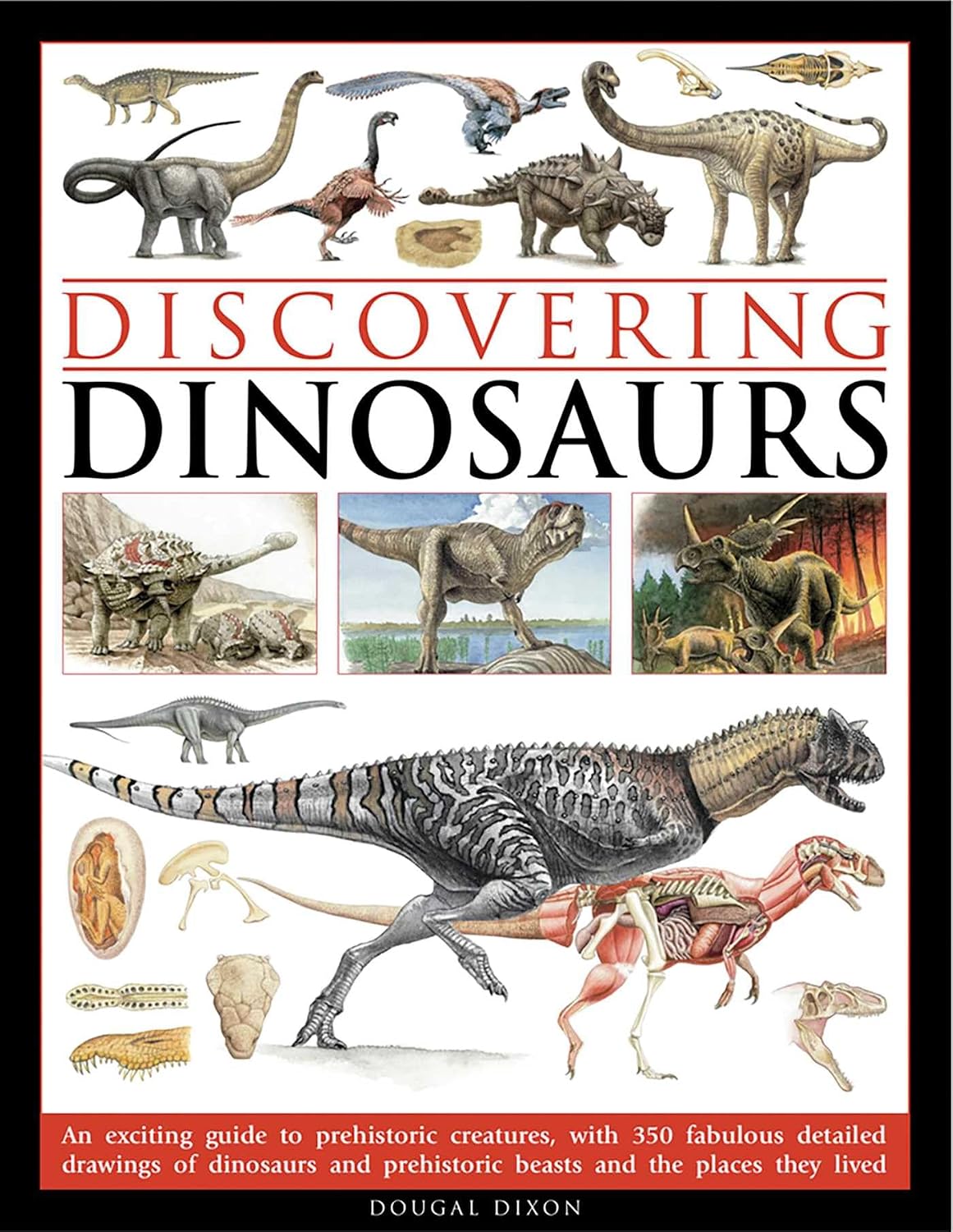 Discovering Dinosaurs: An exciting guide to prehistoric creatures, with ...