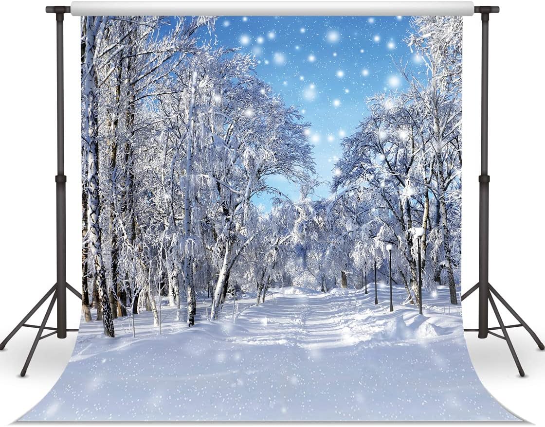 Amazon.com : WOLADA Winter Scene Backdrop Winter White Snowy Forest ...