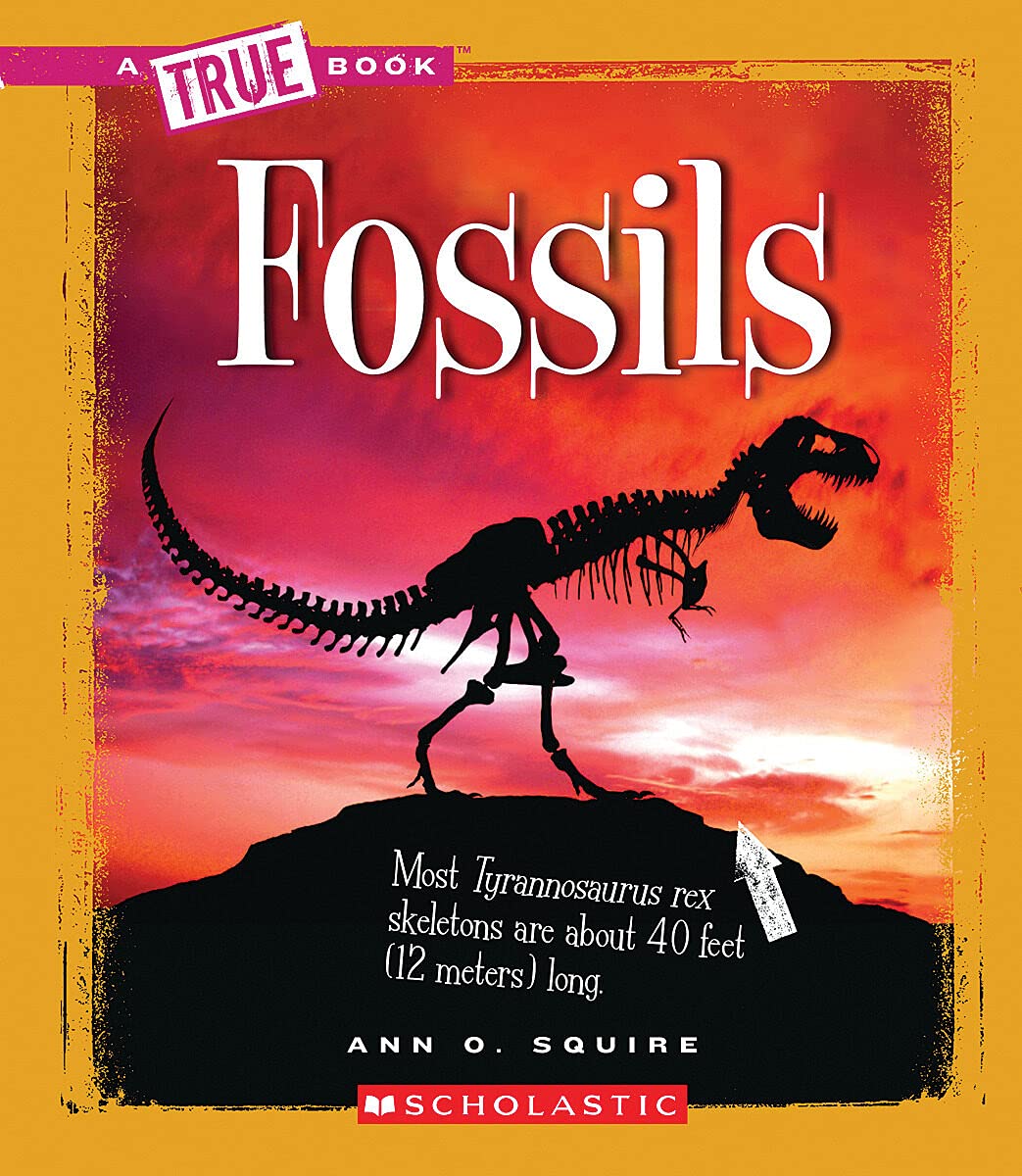 Fossils (A True Book: Earth Science) - Kindle edition by Squire, Ann O ...