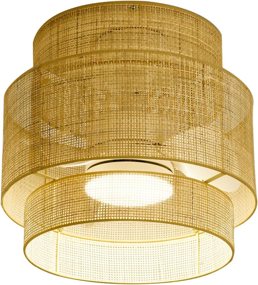 Amazon.com: Eamonex 22" LED Bamboo DC Dimmable Ceiling Fan with Light ...