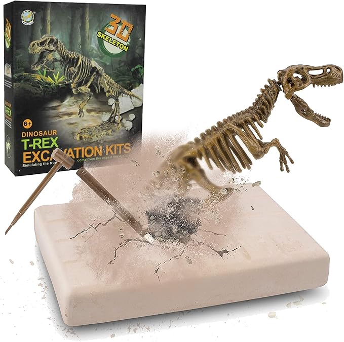 Amazon.com: Dig & Discover Dino Tyrannosaurus Rex Dinosaur Skeleton 3D ...