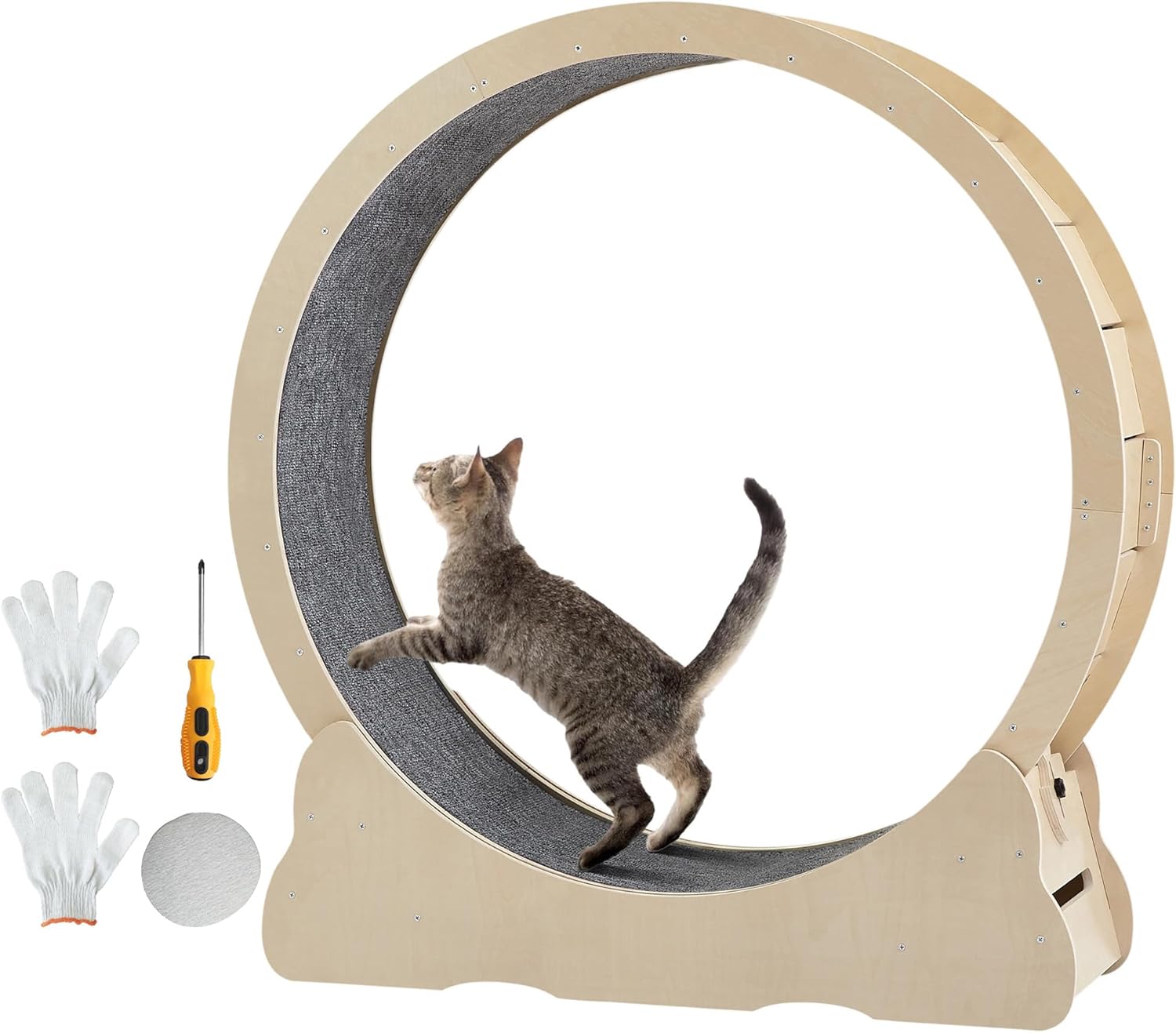 Amazon.com : Veemuaro Cat Exercise Wheel for Indoor Cats, Diameter 43.3 ...