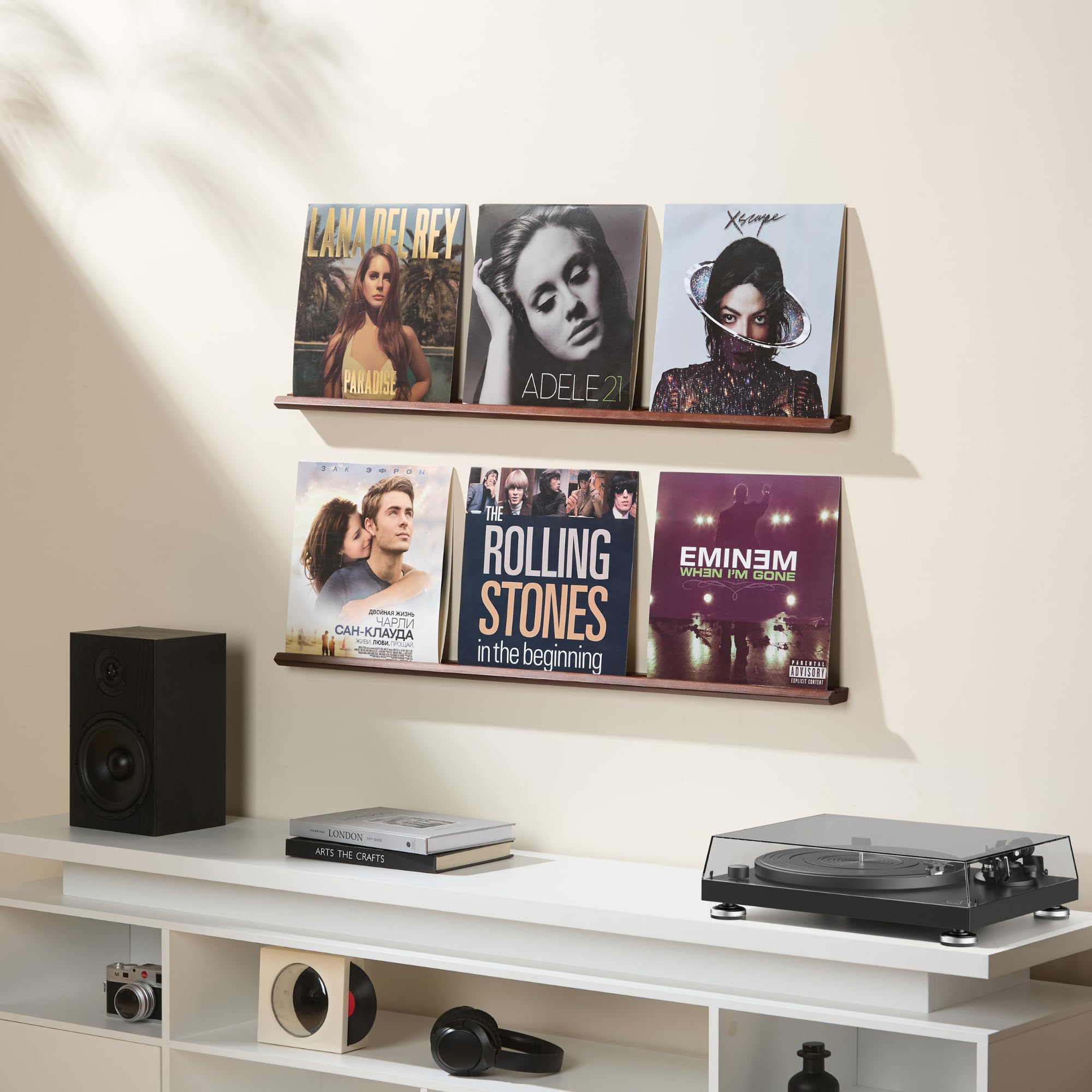 Amazon.com: KORUA Full Length Vinyl Shelf for 3 Records (39.6 Inch ...