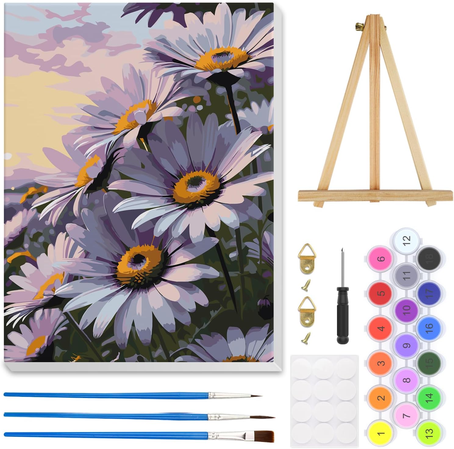 Amazon.com: HEIBAGO Paint by Numbers Kit for Adults with Frame, Flowers ...