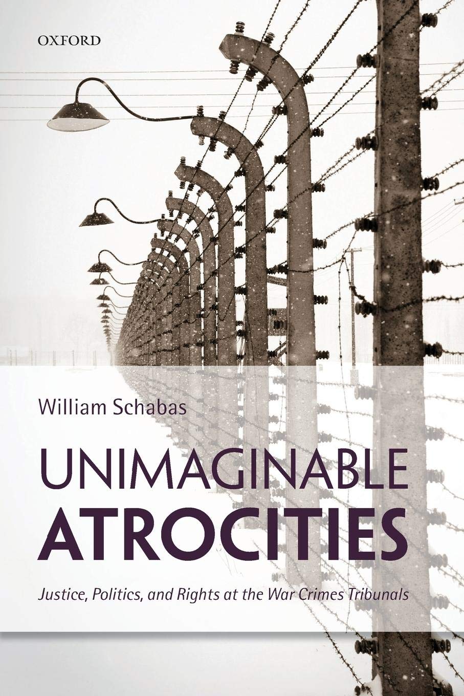 Unimaginable Atrocities: Justice, Politics, And Rights At The War ...