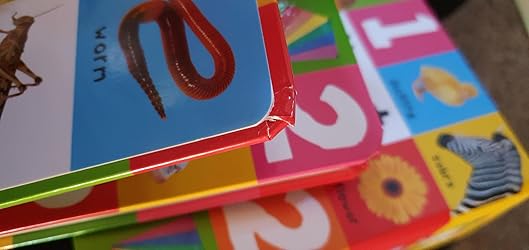 First 100 Board Book Box Set (3 Books): First 100 Words / Numbers ...