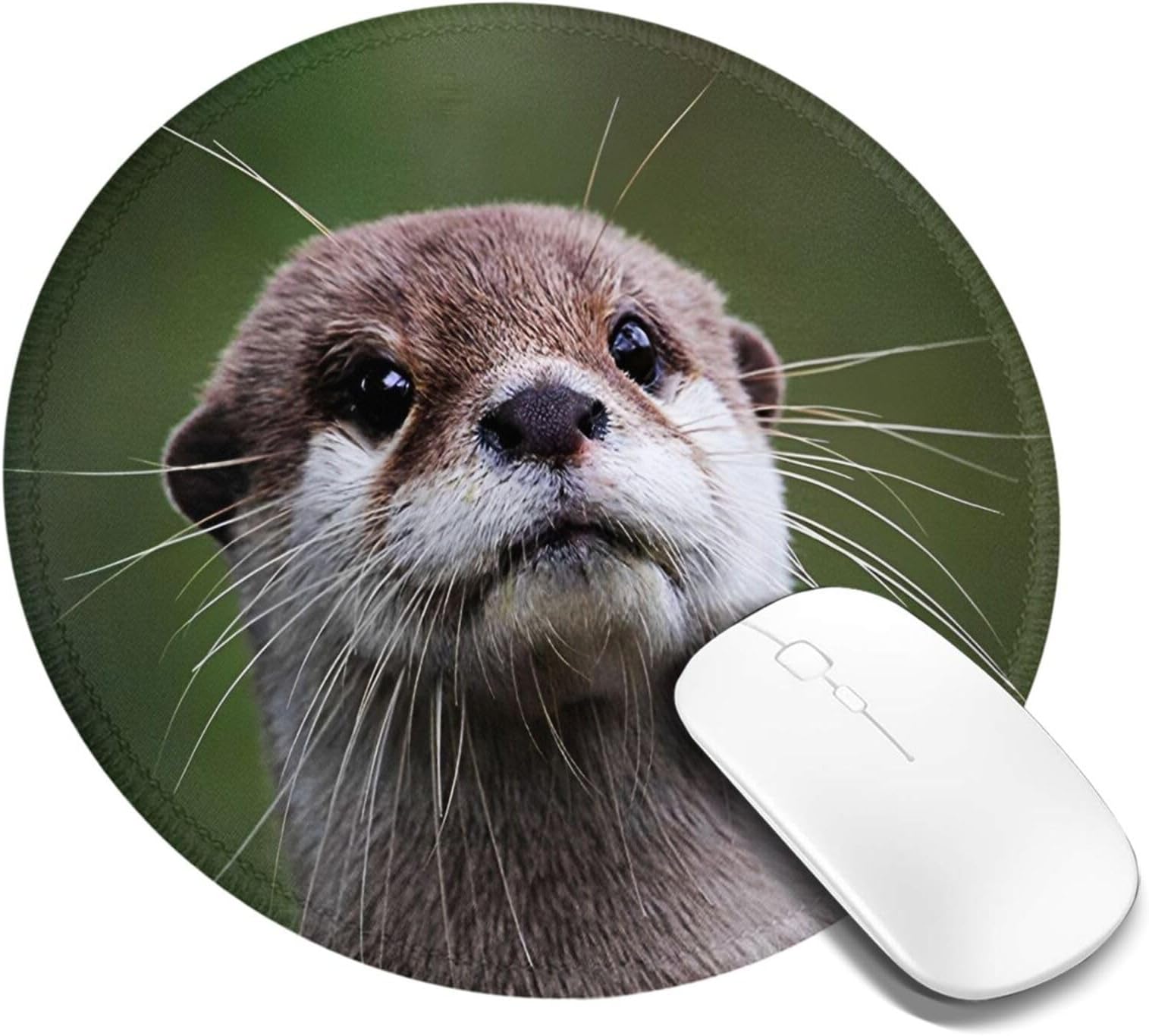 Amazon.com : Amcove Cute Animal Sea Otters Mousepad, Otters Customized ...