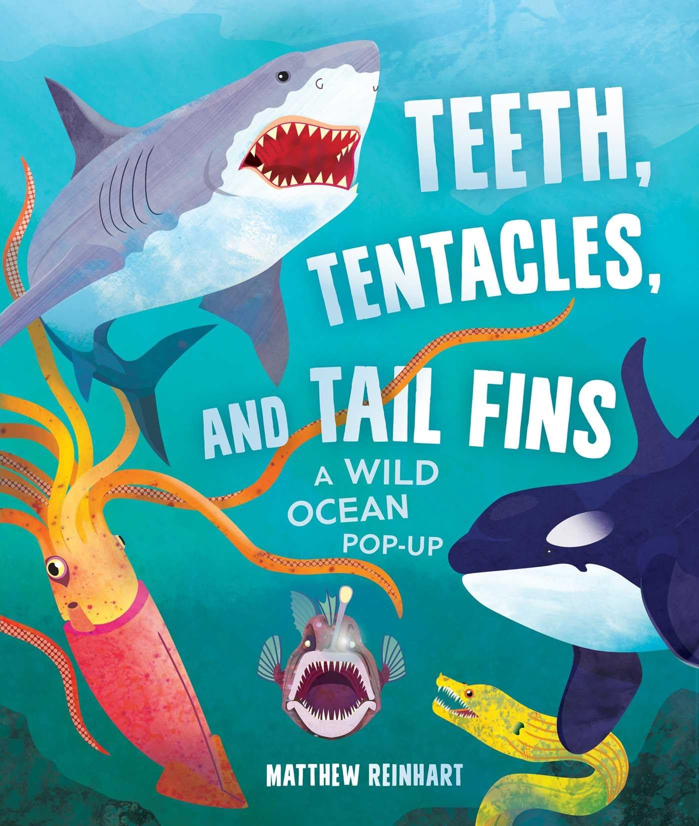 Amazon | Teeth, Tentacles, and Tail Fins (Reinhart Pop-Up Studio): A ...