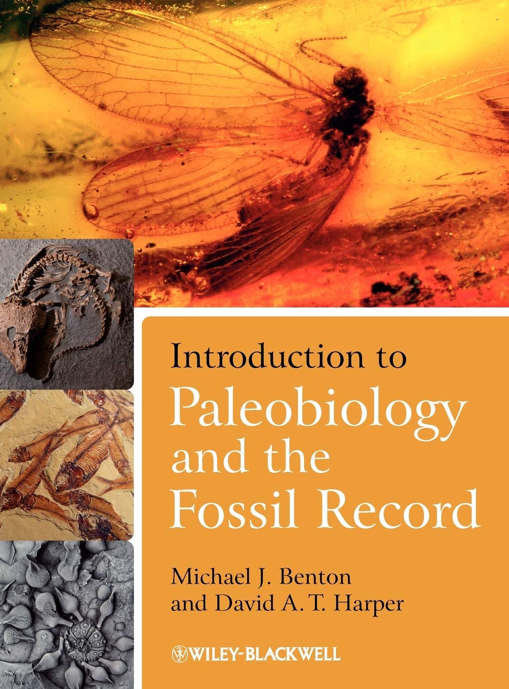 Introduction to Paleobiology and the Fossil Record: Benton, Michael J ...