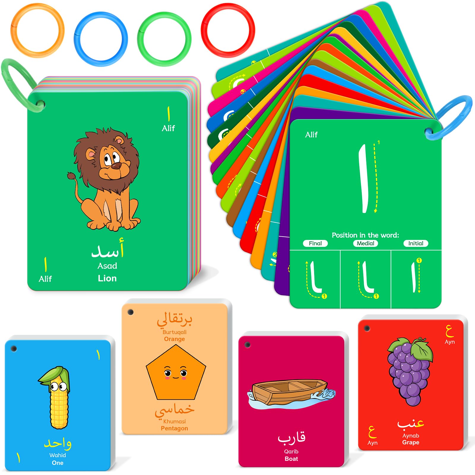 Snapklik.com : Kasfalci 48 Arabic Flash Cards For Kids,Toddler ...