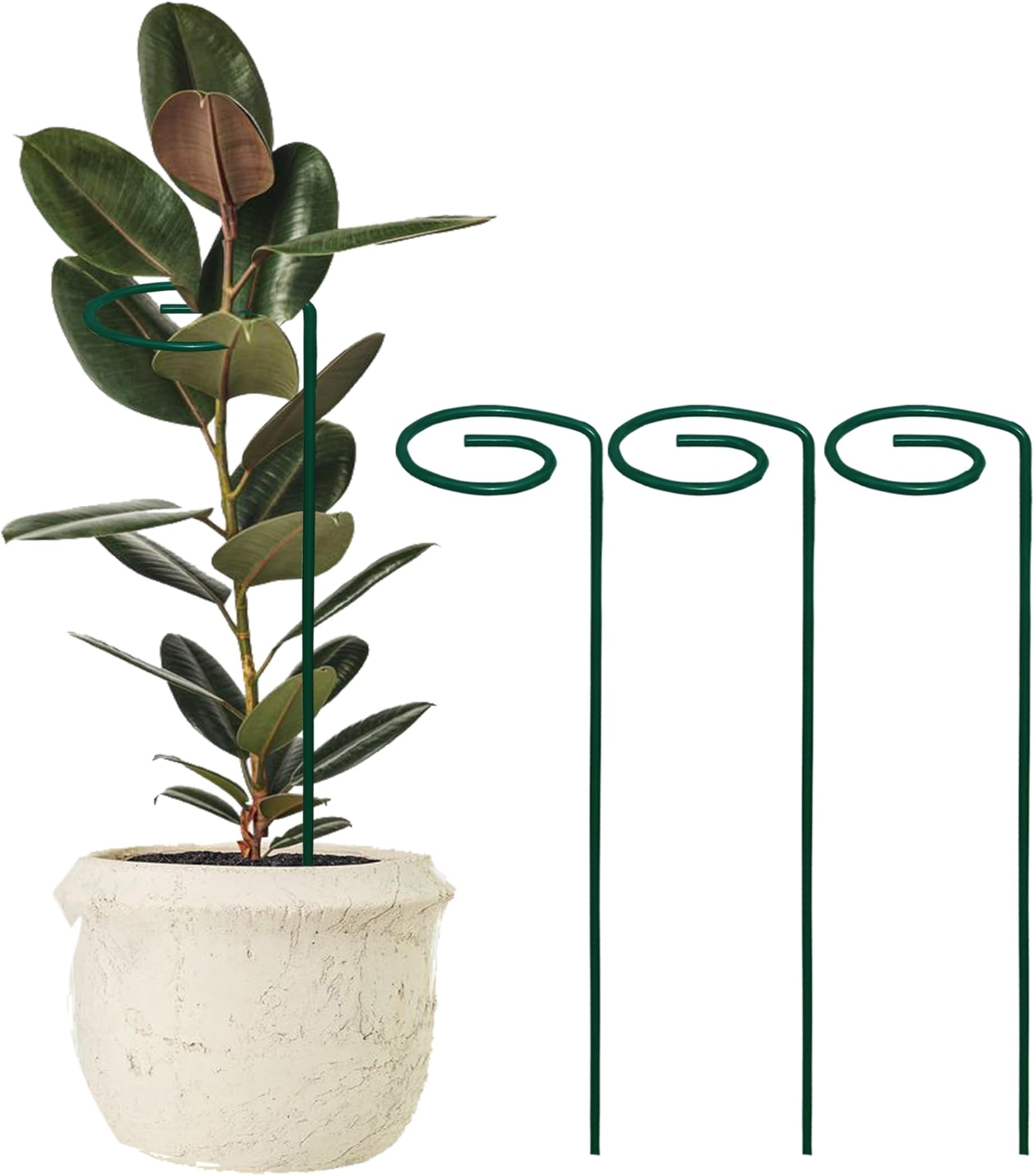 ecofynd 30 inches Metal Plant Stakes, Single Stem Flower Plant Support ...