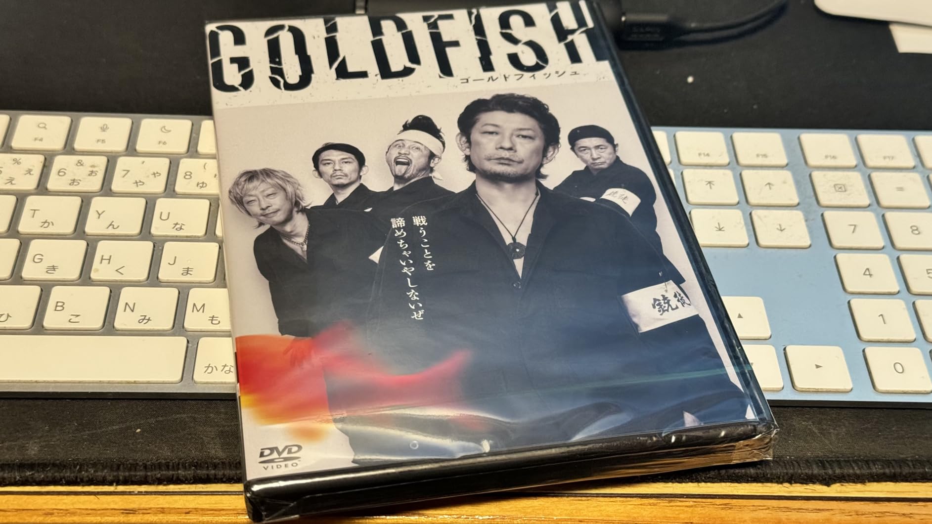 Amazon.co.jp: GOLDFISH : 永瀬正敏；北村有起哉；渋川清彦；有森也実；町田康, 藤沼伸一: DVD