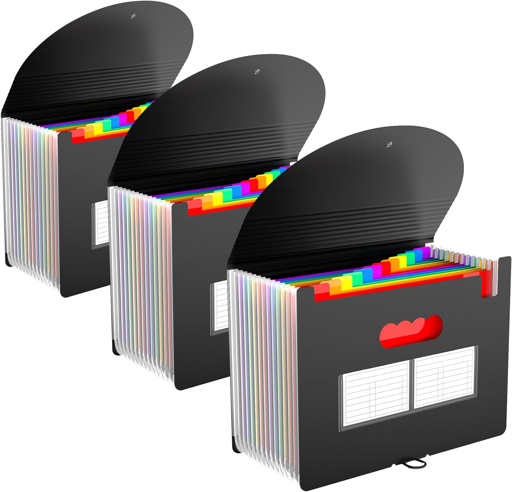 Amazon.com: 3 Pack Expanding File Folder with Blank Label, 12 Pocket ...