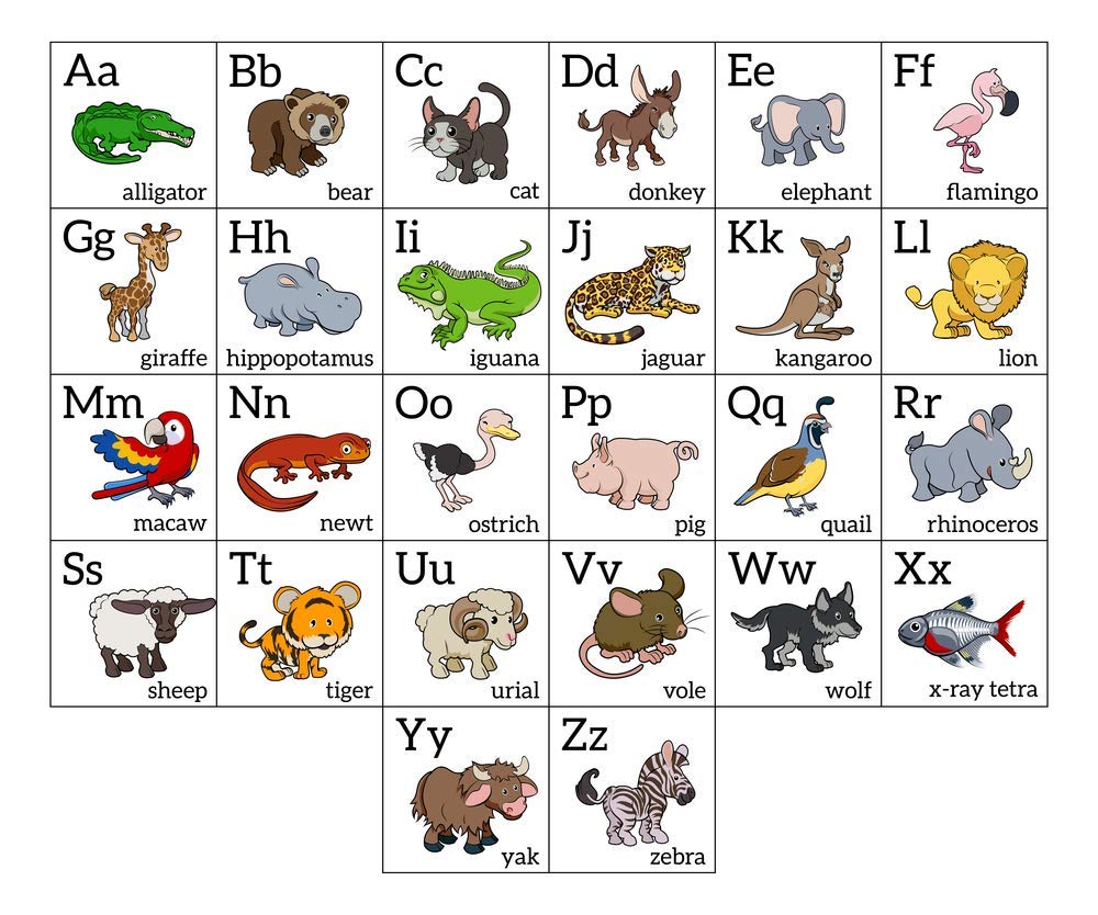 5 Ace Animal Chart Of Alphabet Wall Sticker Poster Alphbets ...