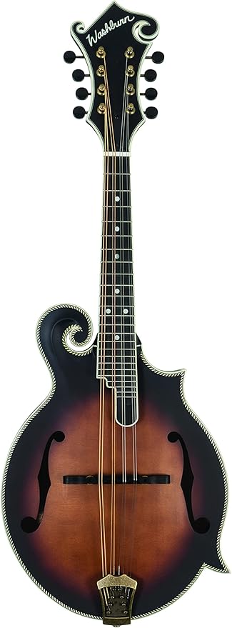 Amazon.com: Washburn, 8-String Mandolin, Vintage (M118SWK-D) : Musical ...