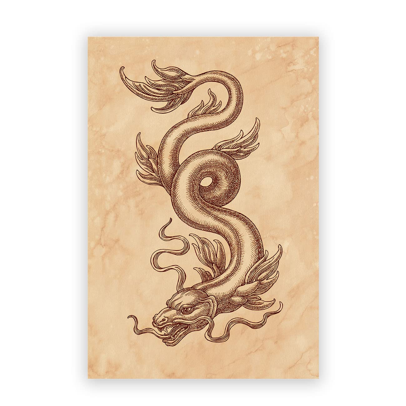 Sea Dragon Drawing