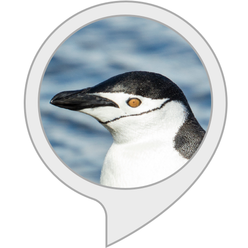 Amazon.com: Penguin Facts : Alexa Skills