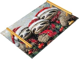 Amazon.com: CEBUGI Cute Sloths Acrylic Decorative Coffee Table Tray ...