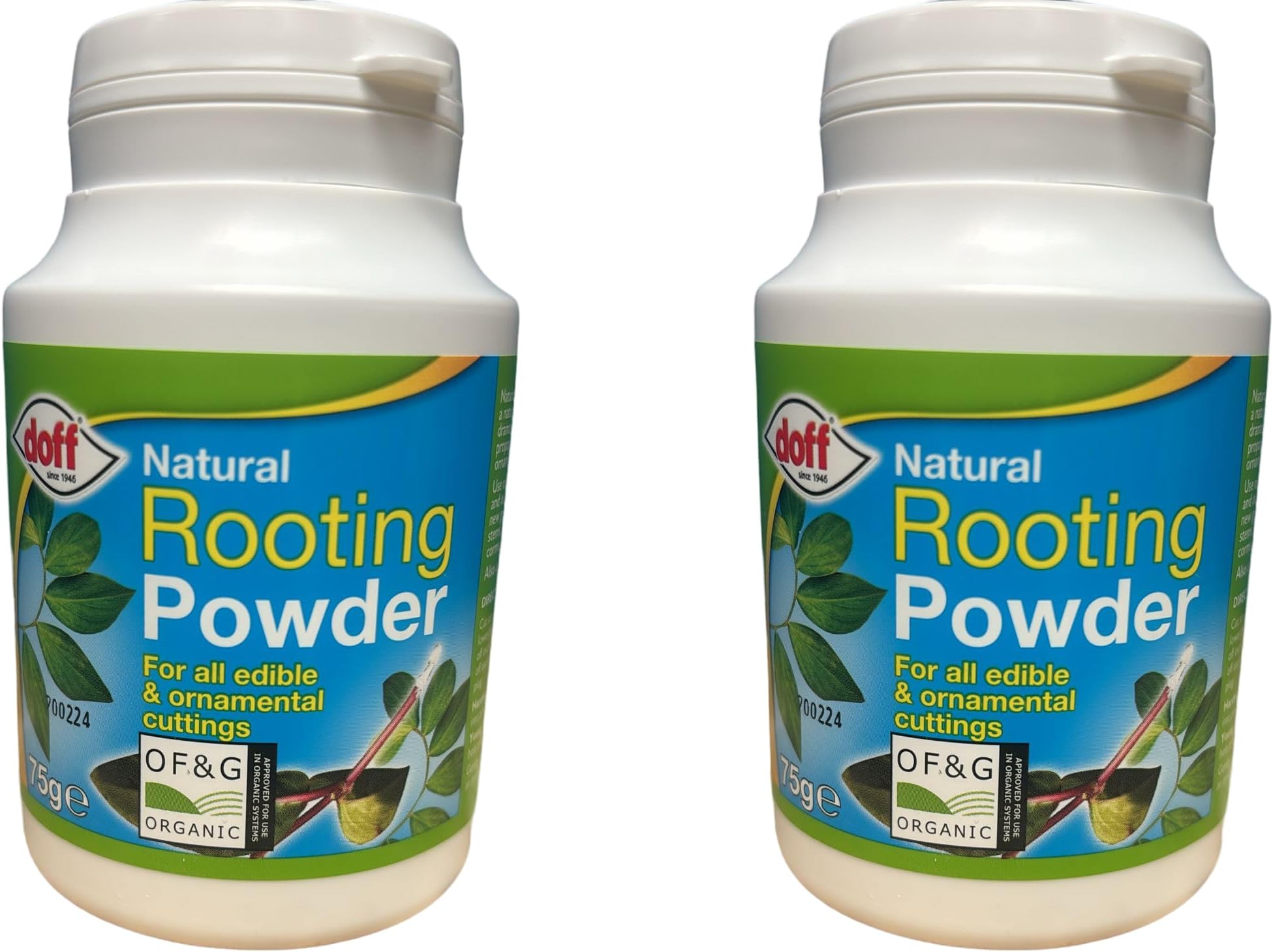 Doff Rooting Powder 75g - For Higher Success in Plant Propagation ...