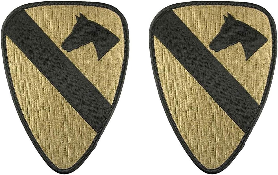 Amazon.com: Oregon National Guard OCP Patch (Military Issued)-Veteran ...