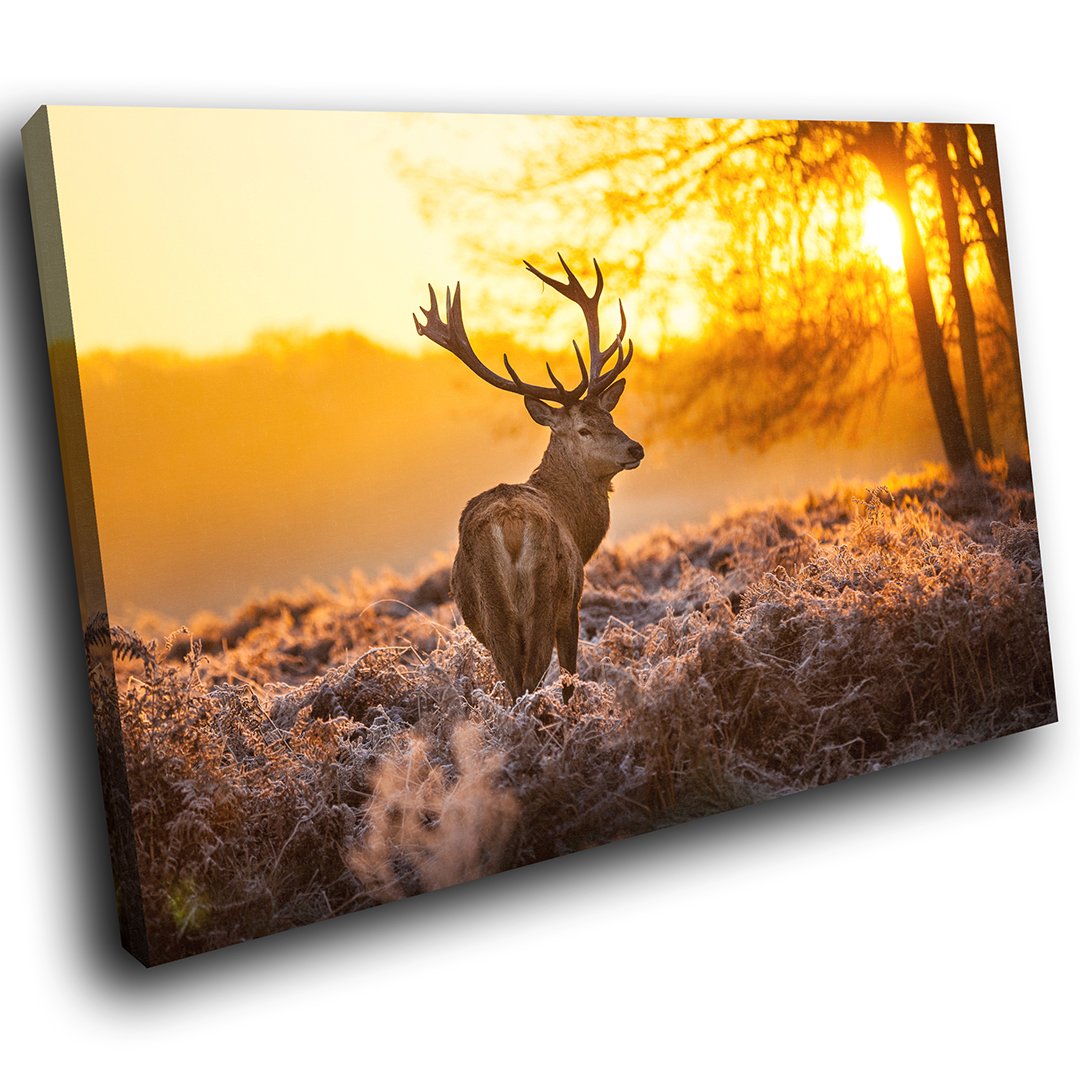 Yellow Stag Logo New Zealand Red Stag Hunting | Kaweka Hunting