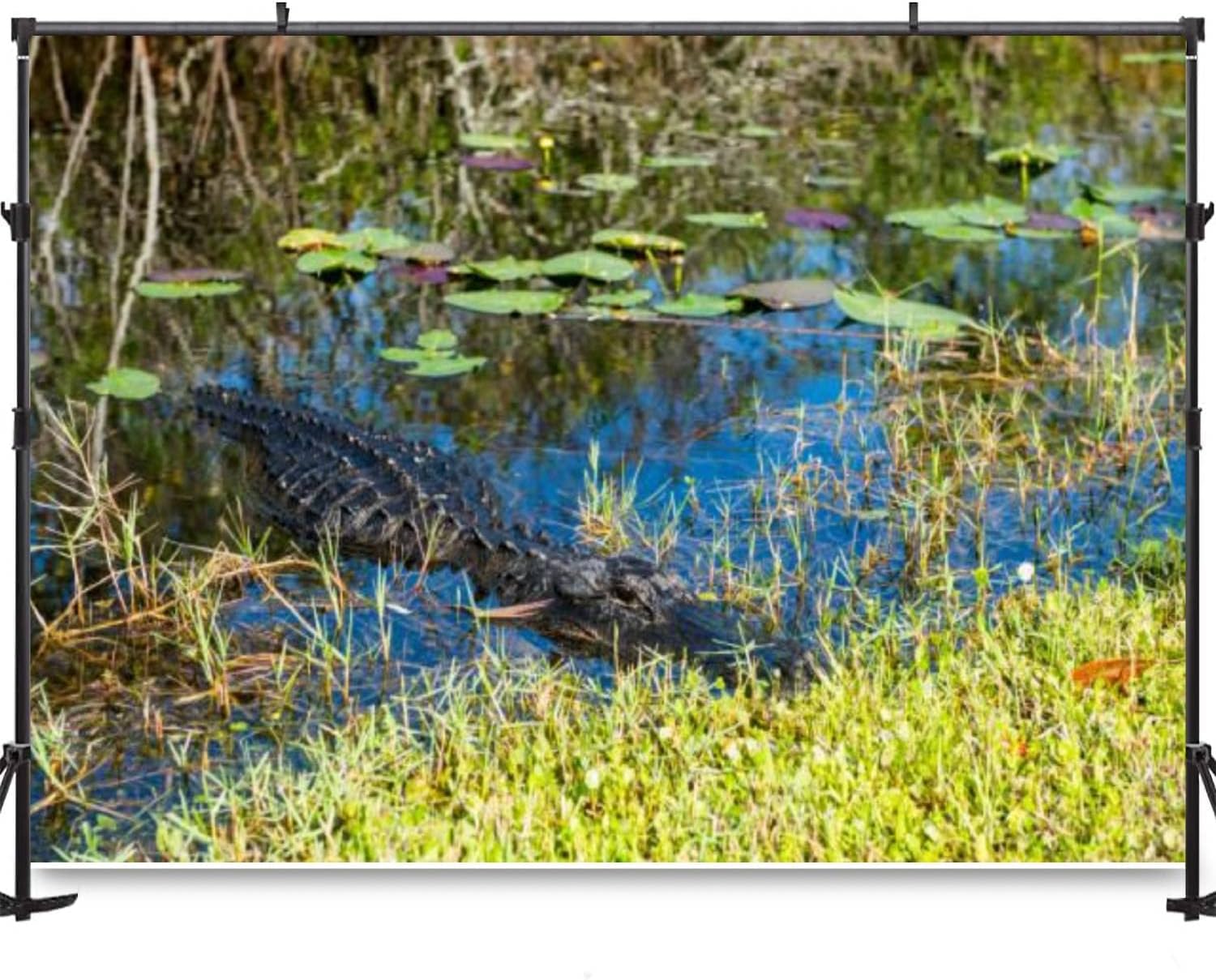 Amazon.com : Alligator at Florida Swamp Backdrops Photography Backdrops ...