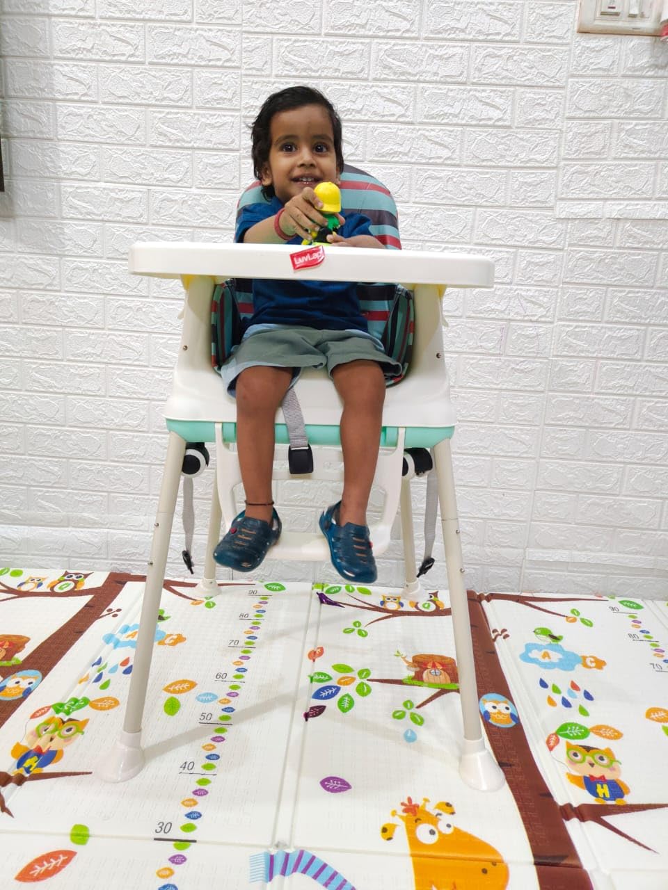 Buy LuvLap 4 in1 High Chair for Baby/Kids, Toddler Feeding Booster Seat ...