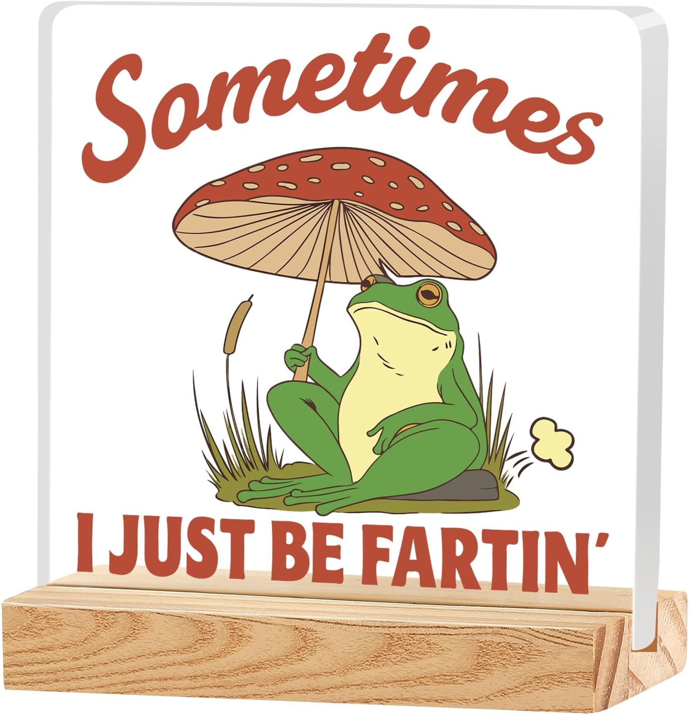 Amazon.com: VFU Sometimes I Just Be Fartin' Sign Funny Office Gag Gift ...