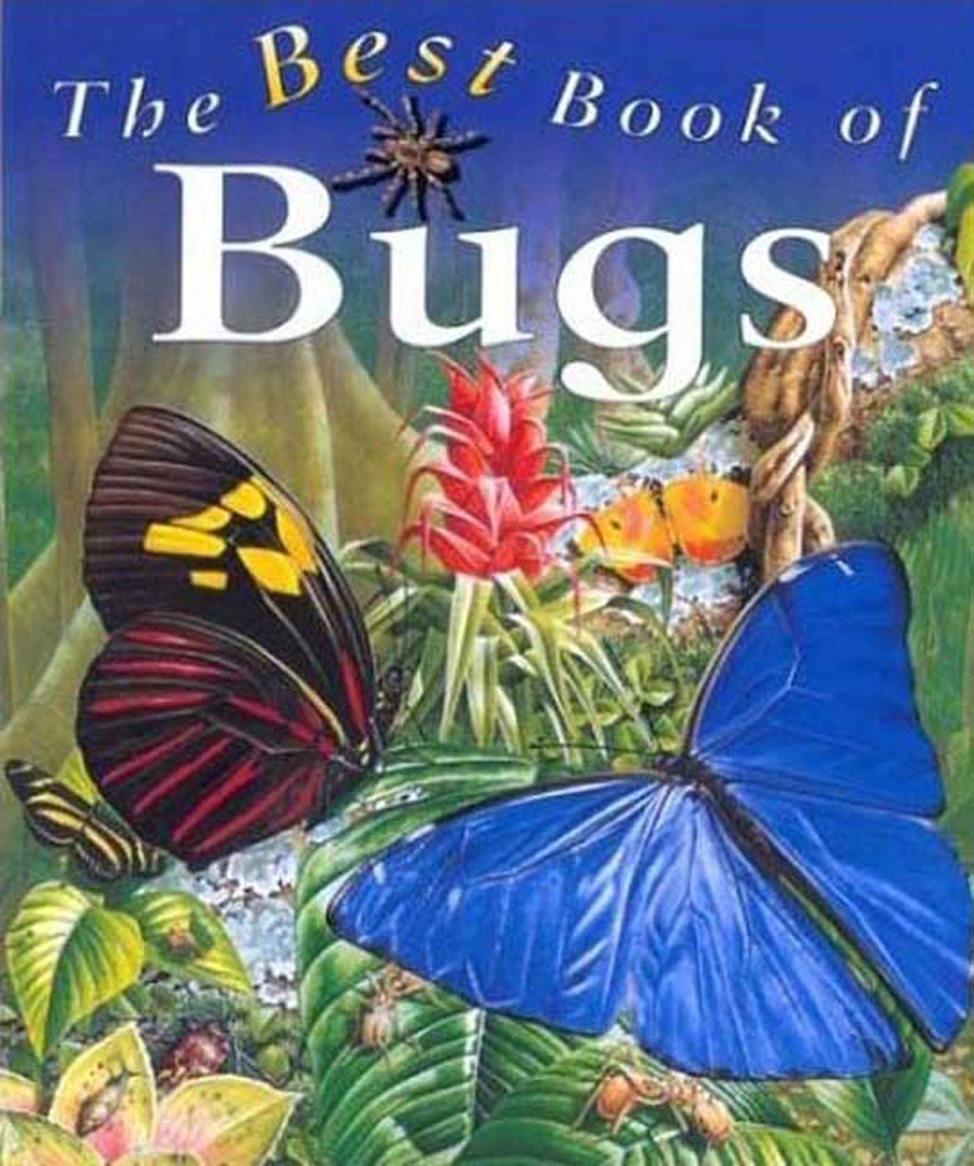 My Best Book of Bugs (The Best Book of): Llewellyn, Claire ...