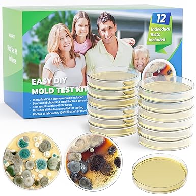Mold Test Kit for Home - 12 PCS DIY Mold Detector with Detailed ...