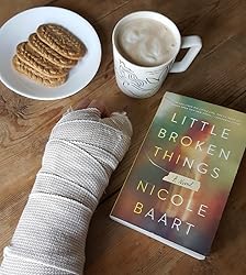 Little Broken Things: A Novel: Baart, Nicole: 9781501133602: Amazon.com ...
