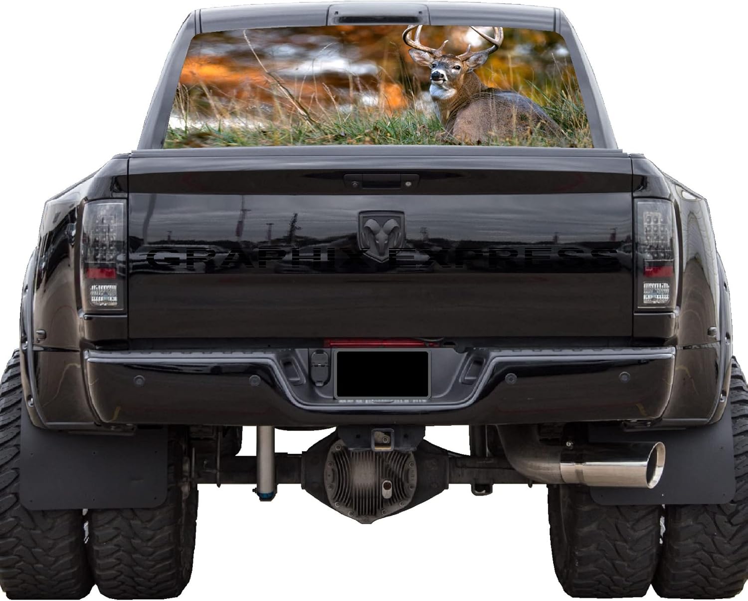 Amazon.com - GRAPHIX EXPRESS Deer Hunting Back Window Graphics ...