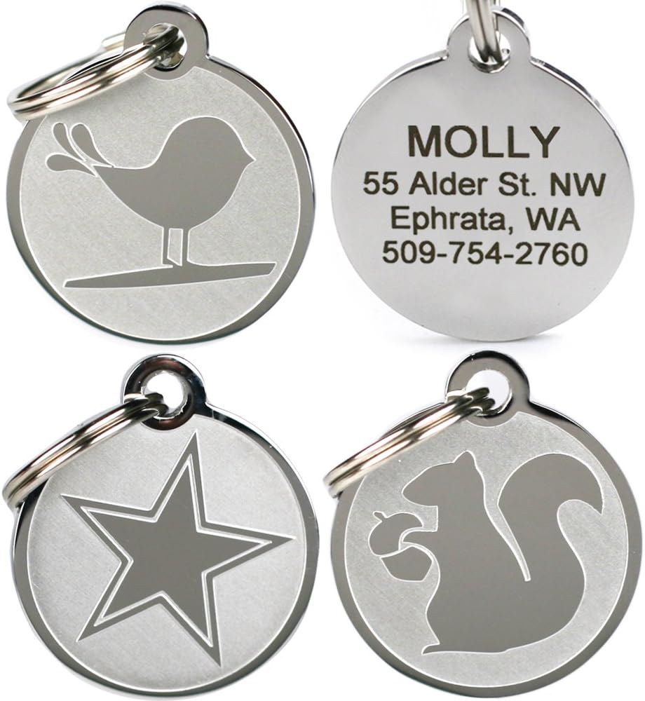 Amazon.com : GoTags Playful, Custom Engraved Pet ID Tags, Solid ...