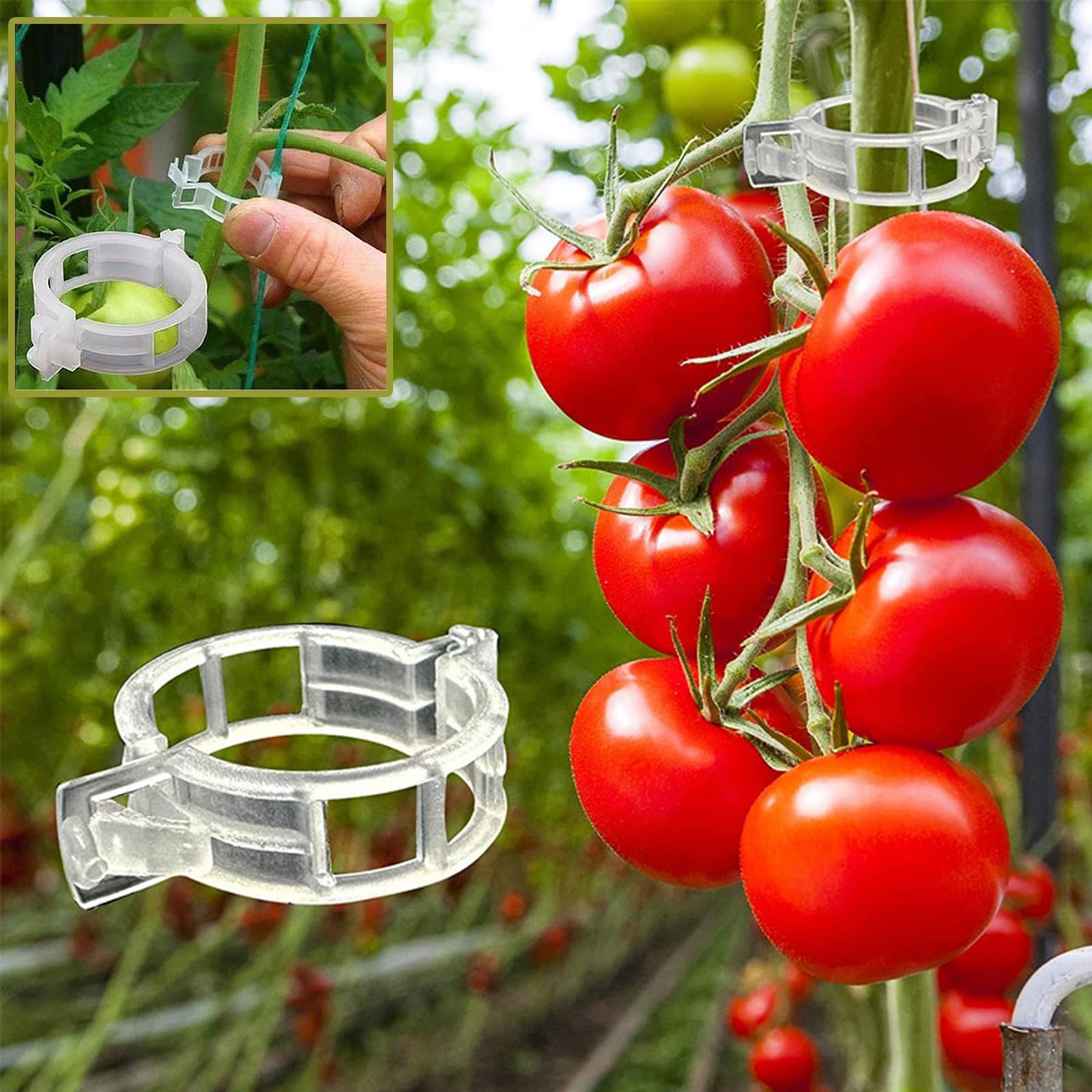 Amazon.com: Tomato Clips,Plant Clips,Plant clips for climbing plants ...