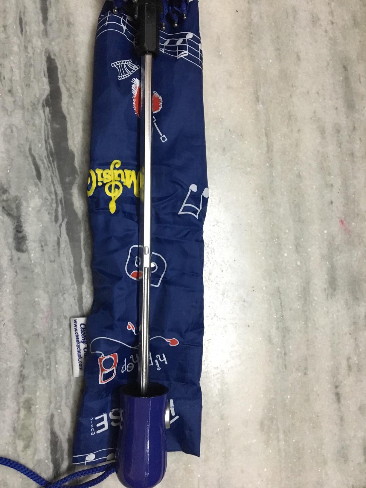 Buy Cheeky Chunk 3 fold Music Doodle Monsoon Fashion Designer Umbrella ...