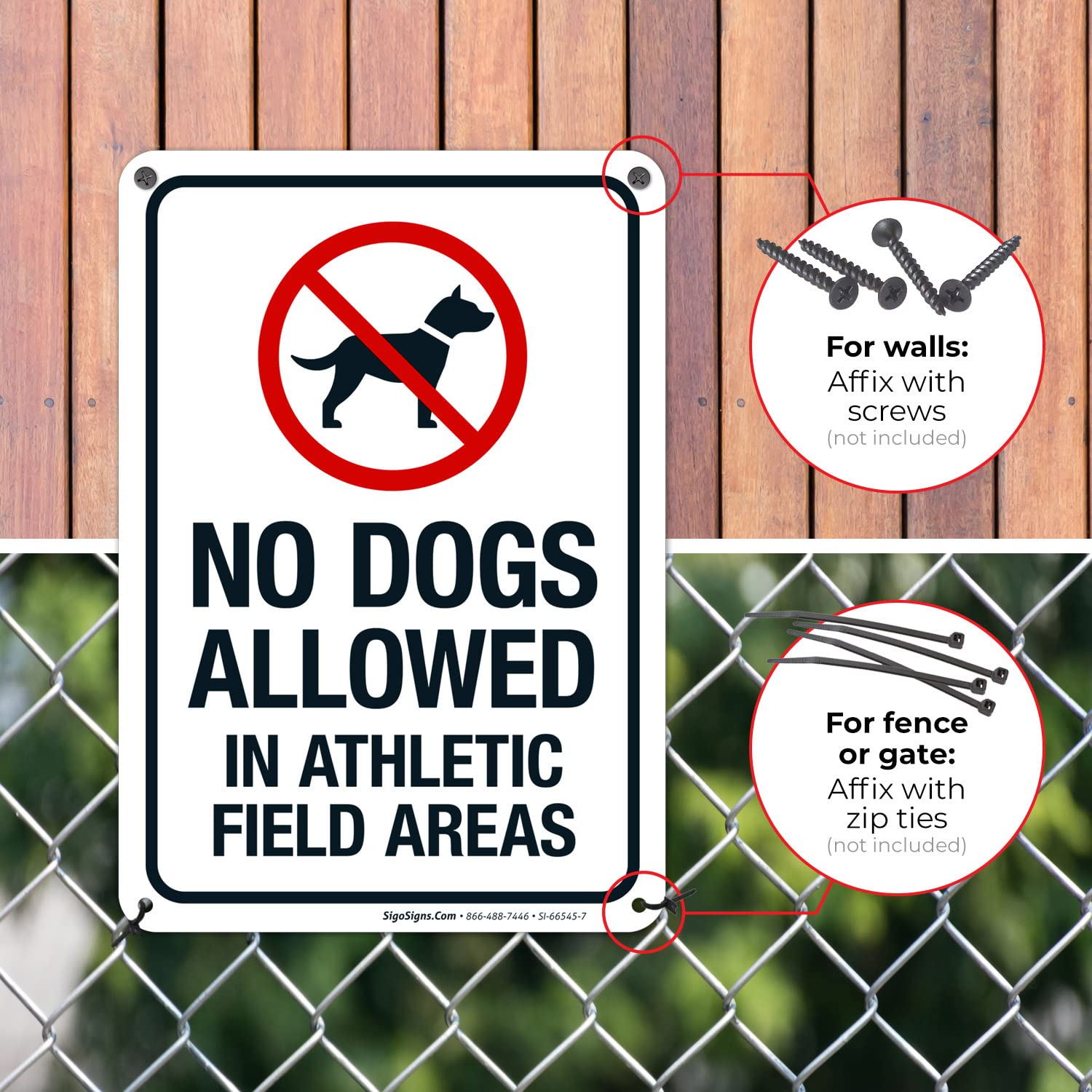 No Sports Allowed Sign