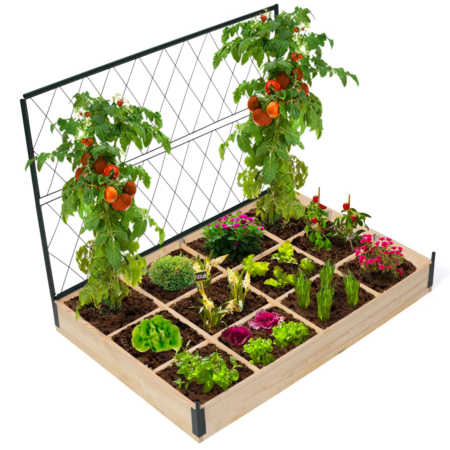 Huerto Elevado Con Contenedores Para Tomates