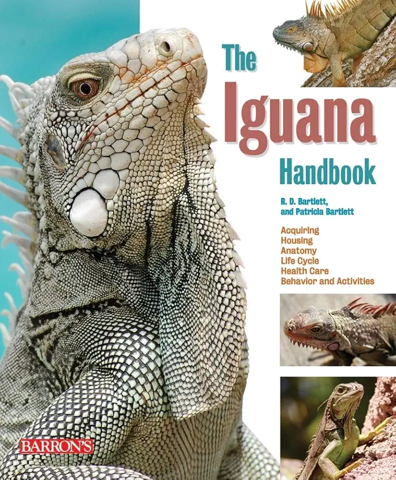 The Ultimate Guide To Spiny Tailed Iguana Care: A Beginner's Handbook ...