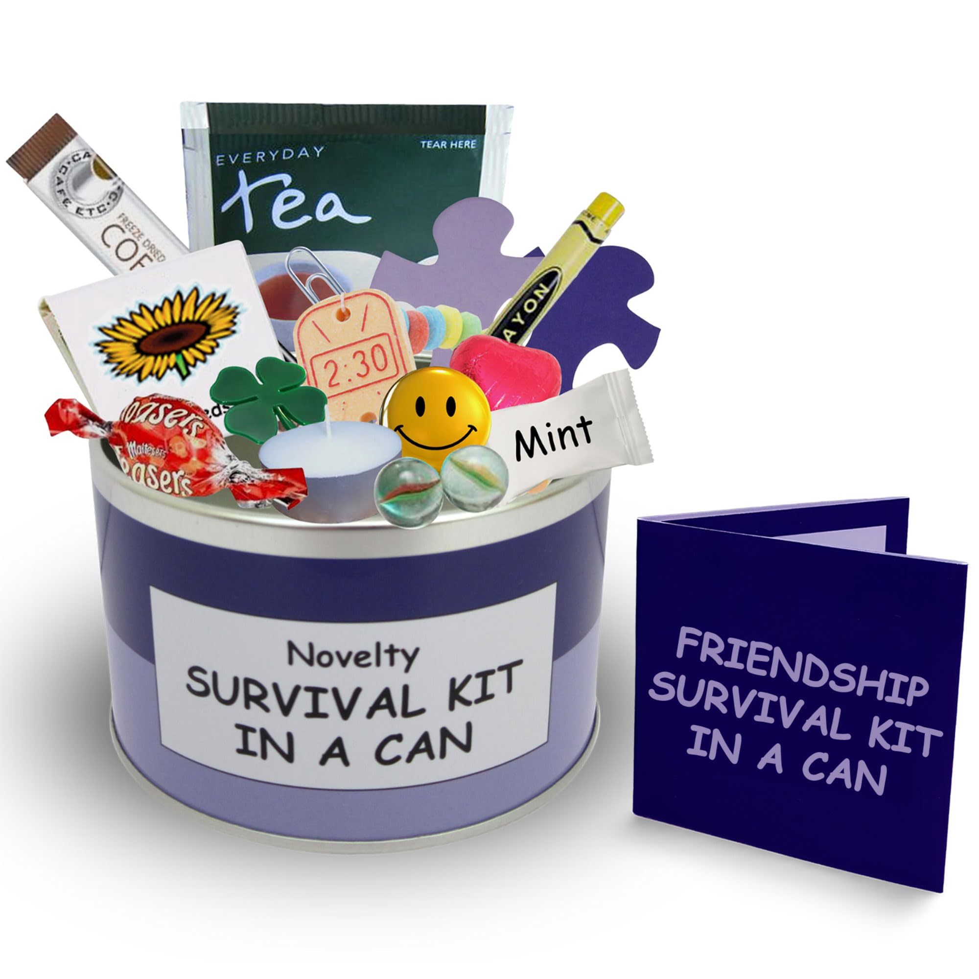 Friendship Survival Kit in a Can - Fun & Humorous Gift Set with Card ...