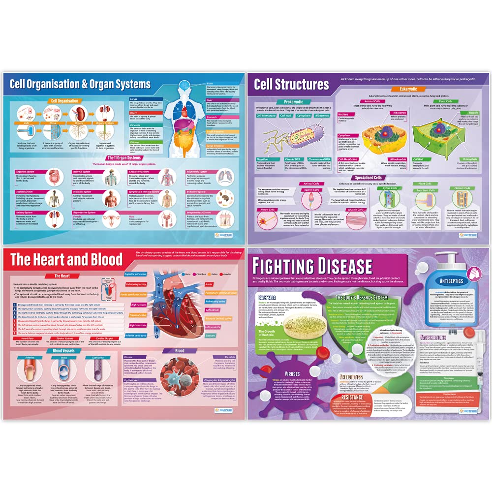 Biology Posters - Set of 13 | Science Posters | Laminated Gloss Paper ...