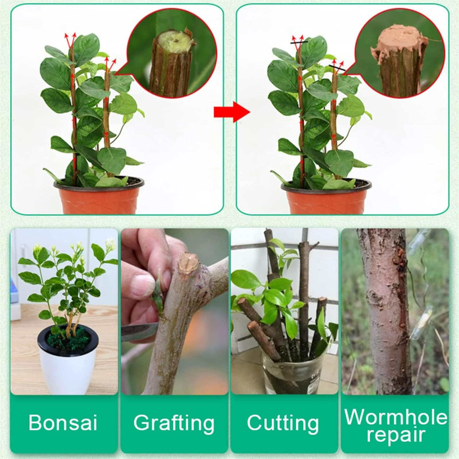 WOSLXM Yimin Tree Grafting Paste, Bonsai Cut Wound Paste Smear, Tree ...