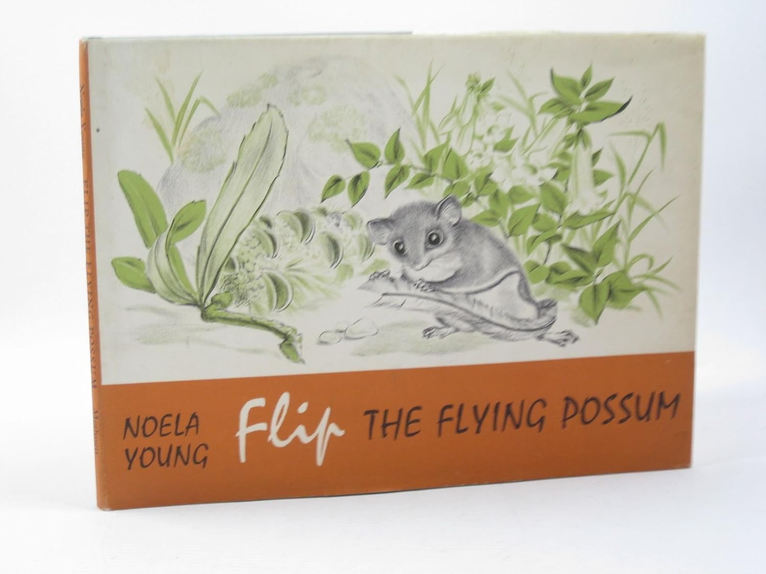 Flip, The Flying Possum: Noela Young: Amazon.com: Books